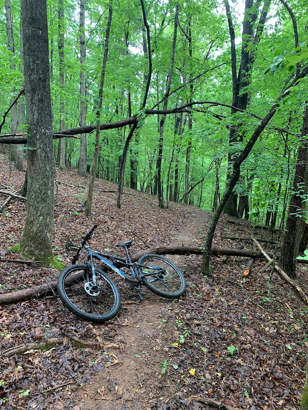 Possum Ridge Loop Mountain Biking Trail - Horsepasture