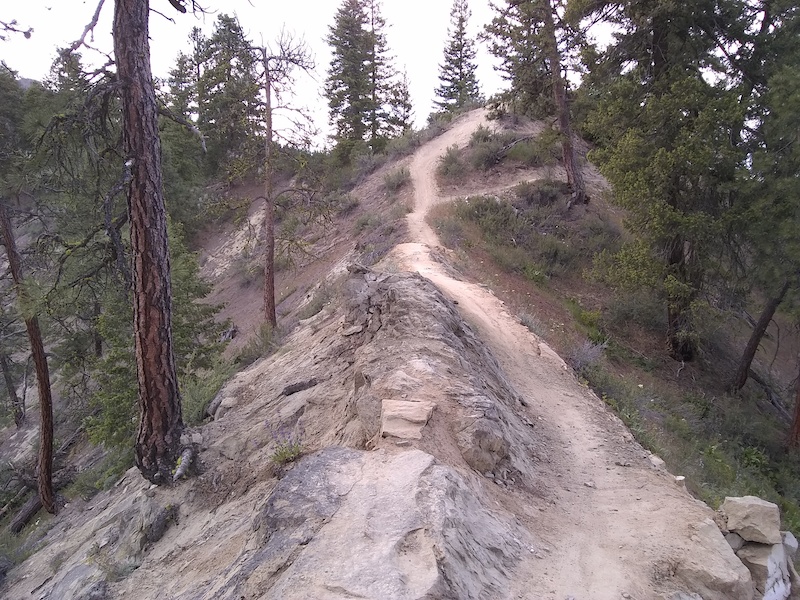 Ski Hill Figure 8 Mountain Biking Route | Trailforks