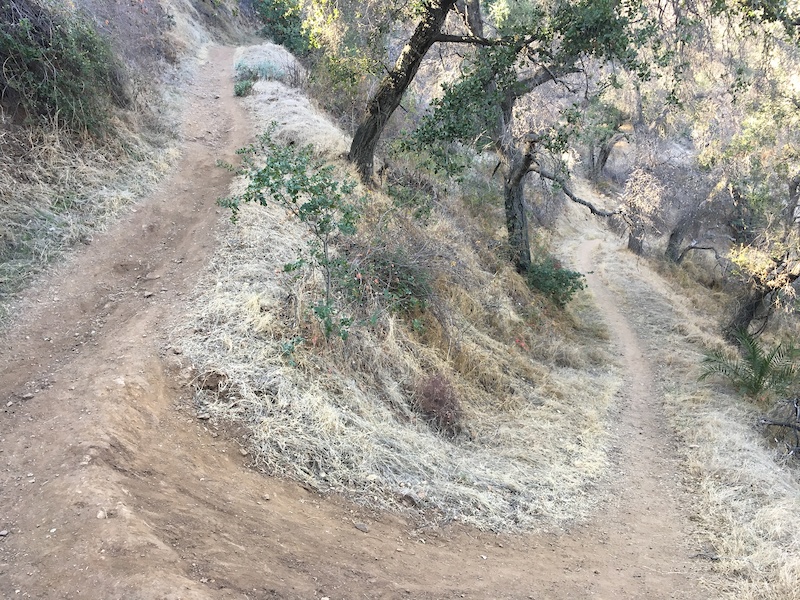 Colby Switchbacks Mountain Biking Trail - CA