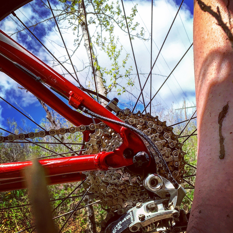 12 Mile Alt. Mountain Biking Trail - Calgary, Alberta