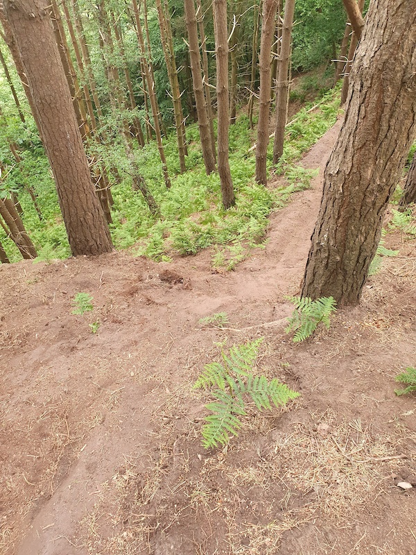 Cheshire West and Chester Mountain Biking Trails | Trailforks
