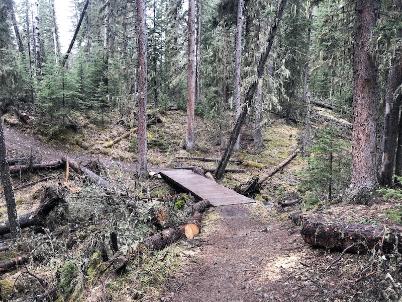 Jumpingpound Creek, Bragg Creek Mountain Biking Trails | Trailforks