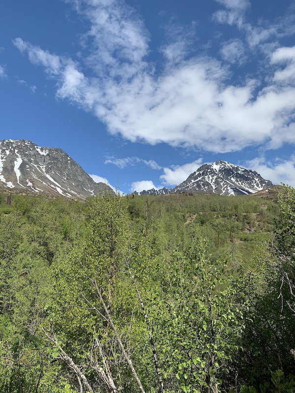 Sutton-Alpine, Alaska Mountain Biking Trails | Trailforks