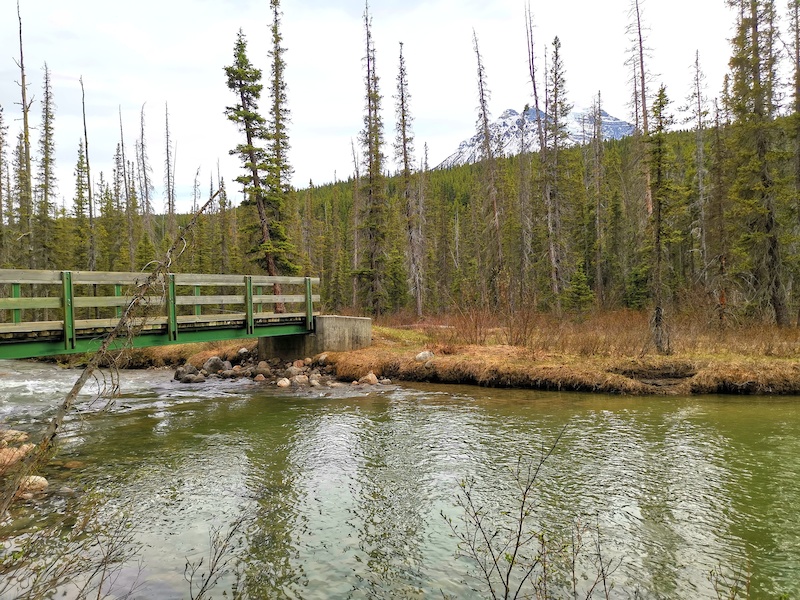 Bow River Loop Mountain Biking Trail - - Alberta