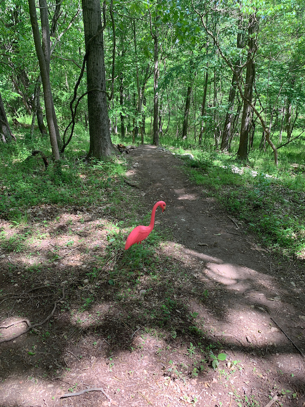 Jump Trail Mountain Biking Trail - High Bridge, NJ