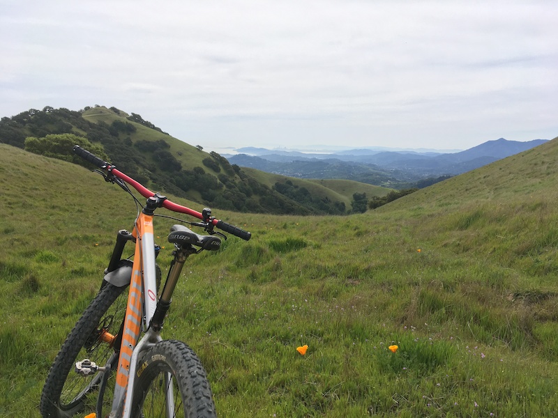 2015 Singlespeed Niner One 9. For Sale