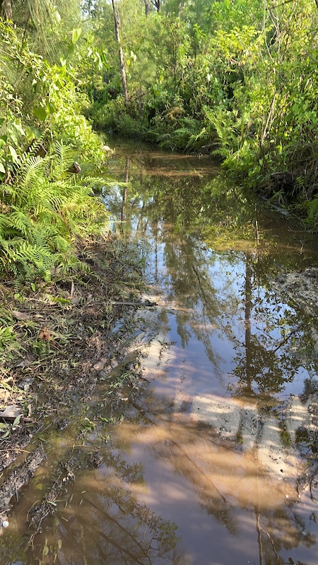 Crossing the Swamp Multi Trail - Hialeah, Florida