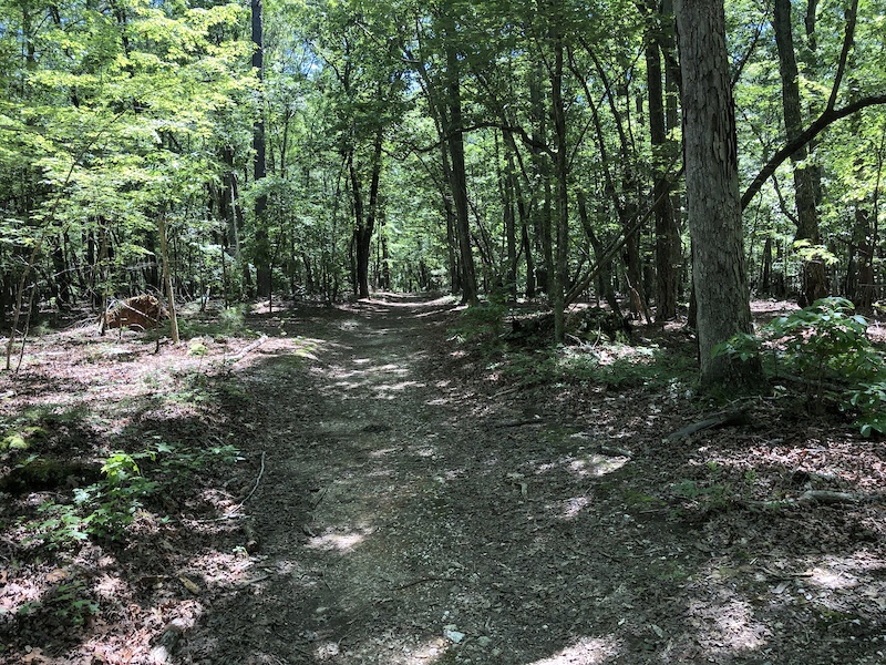 Greene Tract Access Trail from Larkspur Multi Trail - Chapel Hill