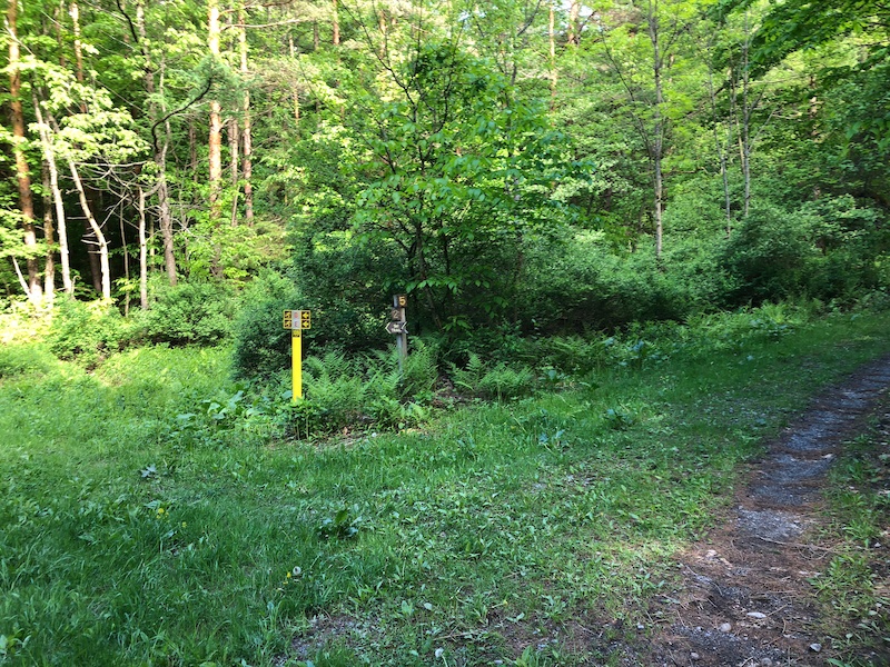 Highland Forest, Syracuse Mountain Biking Trails | Trailforks
