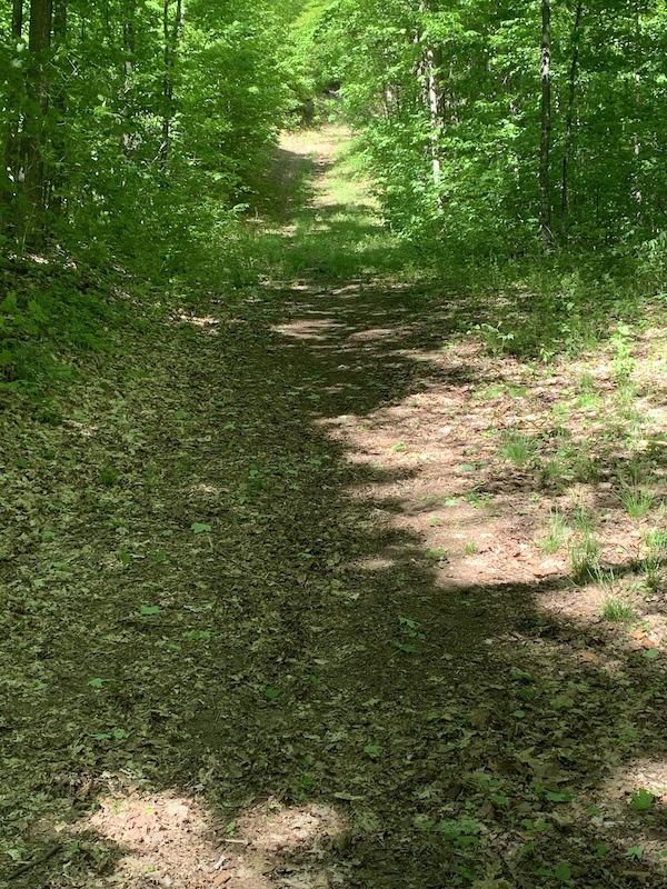 Double Track - Sign Post 19 to 18 Multi Trail - Oro-Medonte