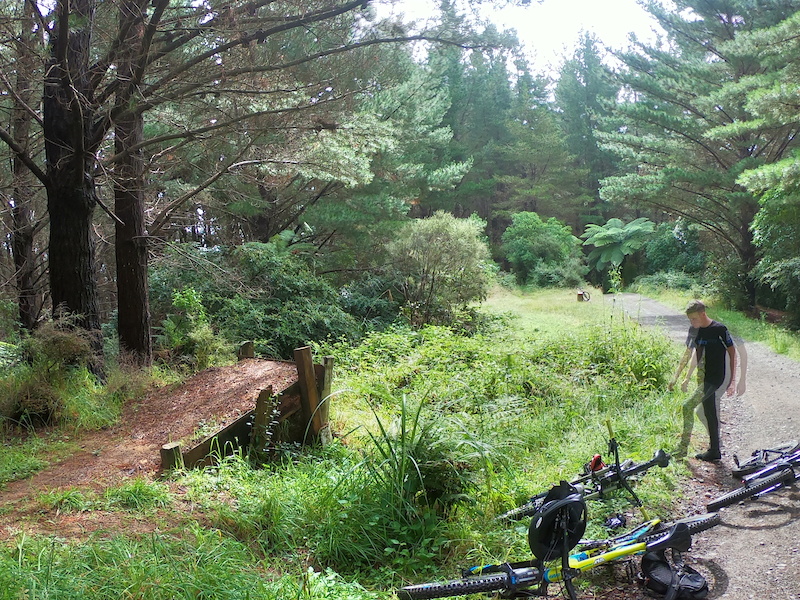 Levin, New Zealand Mountain Biking Trails | Trailforks
