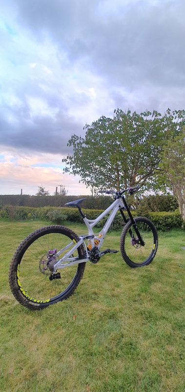 Big spec banshee legend For Sale