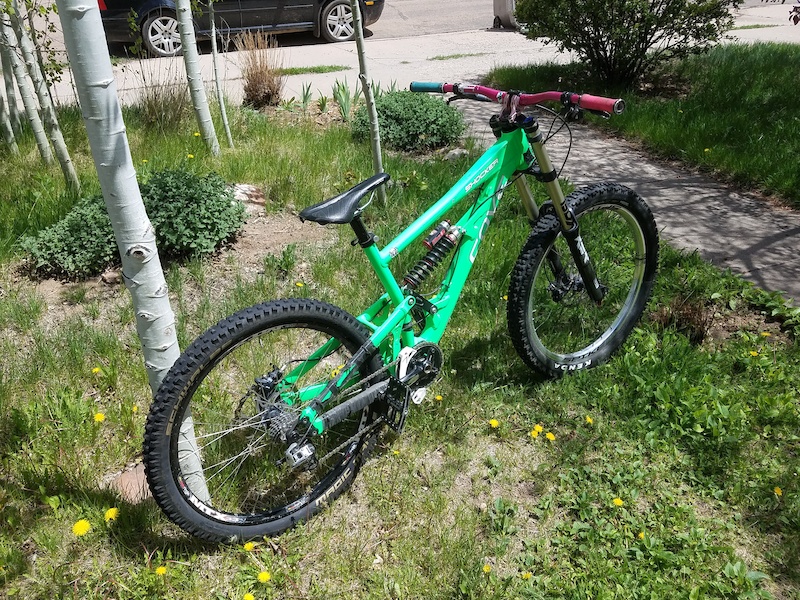 2012 Cove Shocker For Sale