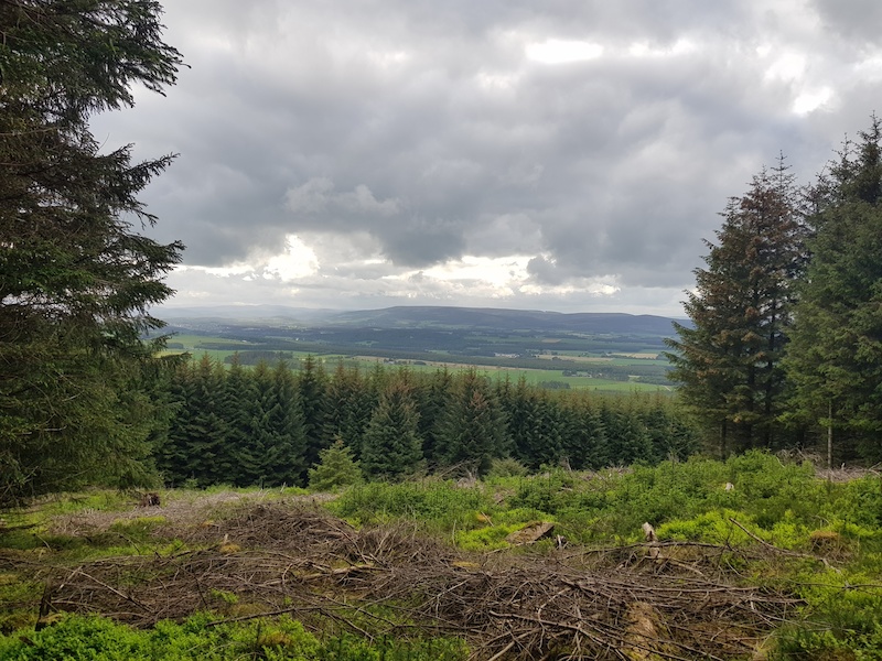 Great Escape Mountain Biking Trail - Durris | Trailforks