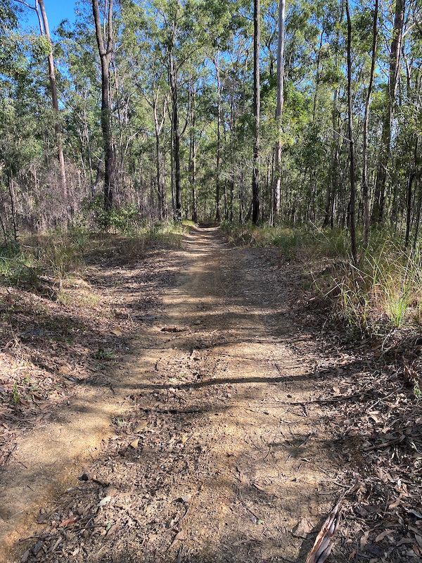 MTB in Paradise - The Big Loop Mountain Biking Route | Trailforks