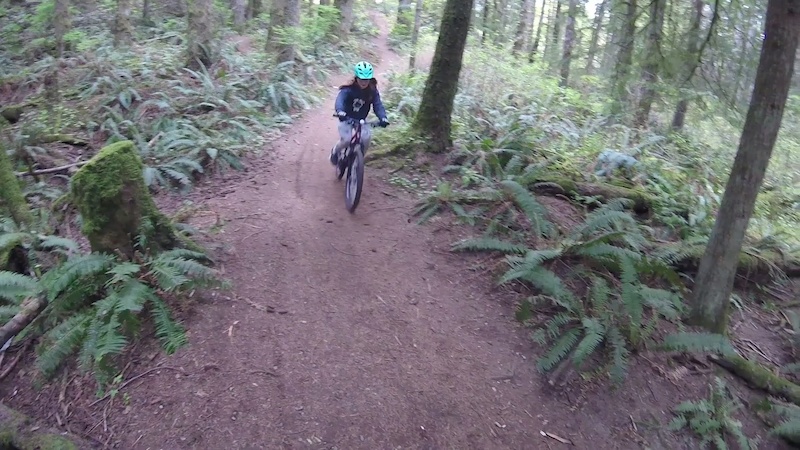 Simms Creek East Mountain Biking Trail - Campbell River
