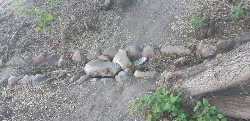 Off-Camber Mountain Biking Trail - Saskatoon, SK