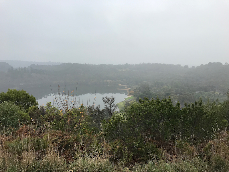 Marist Park Main Line Mountain Biking Trail - Mt Gambier