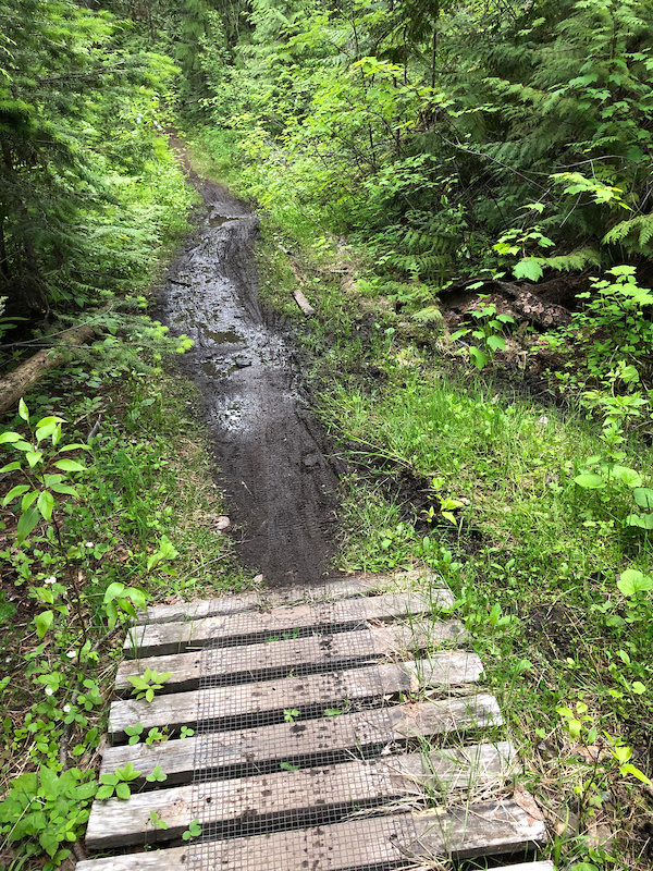 High Rim Trail - Mid Kal Park Mountain Biking Trail - Vernon