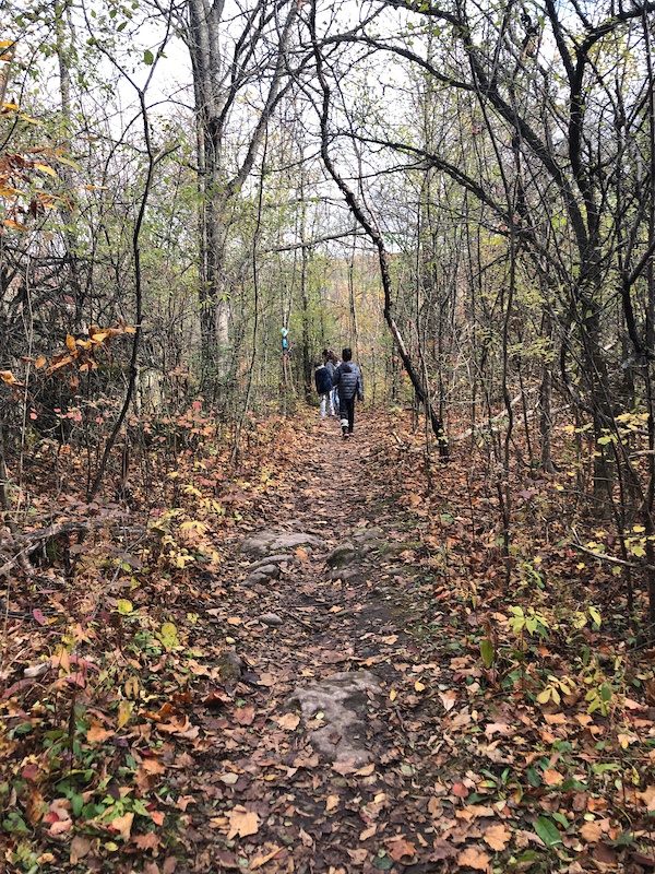 Bruce Trail - Crawford Lake Multi Trail - Milton, Ontario