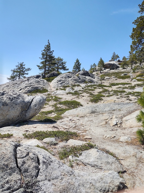 Jun 06, 2020 Domer Trail Report | Trailforks