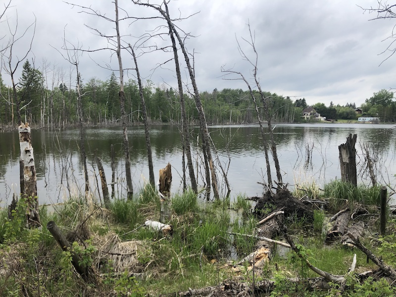 Lacombe, Alberta Mountain Biking Trails | Trailforks