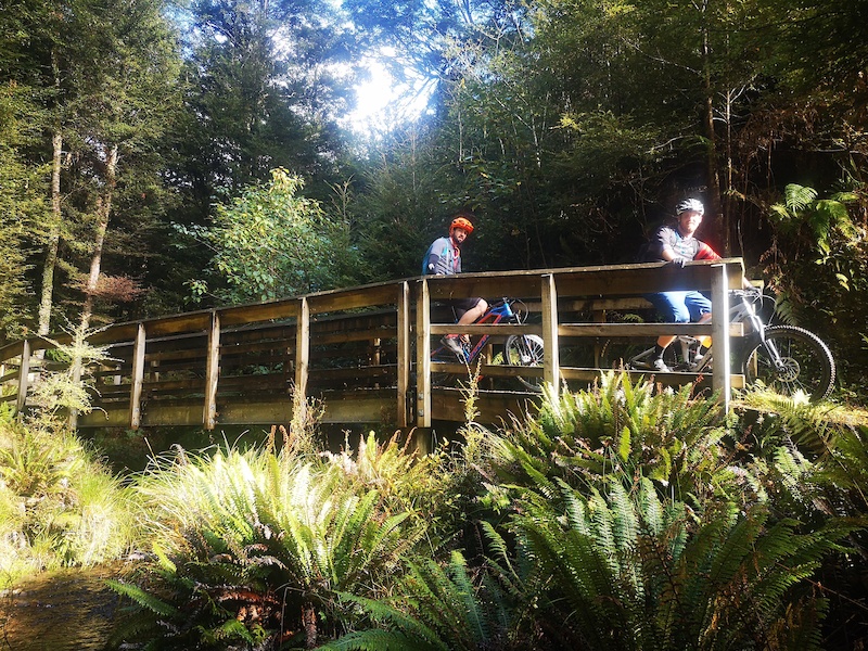 Moerangi Track Mountain Biking Trail - North Island