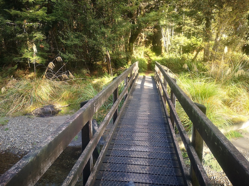 Moerangi Track Mountain Biking Trail - North Island