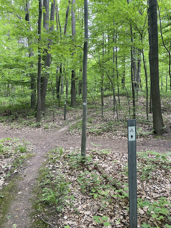 Ryan Park Long Loop Mountain Biking Trail - Kewaunee