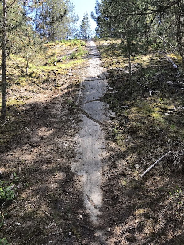 Cable Guy big Rock Roll Mountain Biking Trail - Whistler
