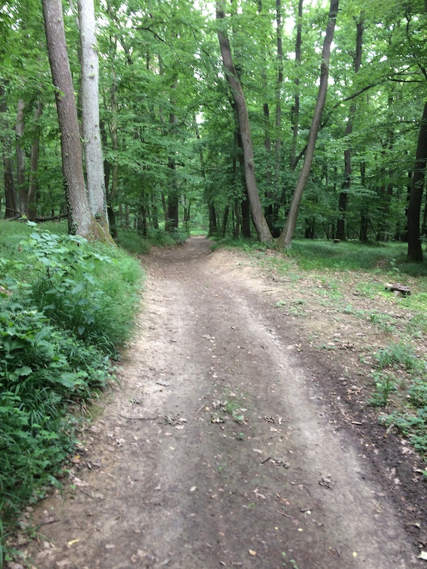 JAROK Mountain Biking Trail - | Trailforks