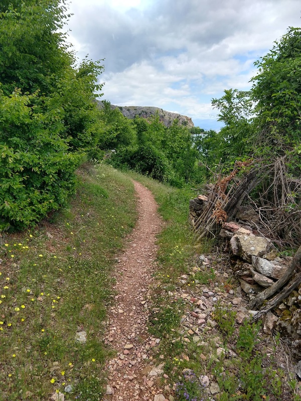 Lin Ring Trail Multi Trail - Lin, Pogradec | Trailforks