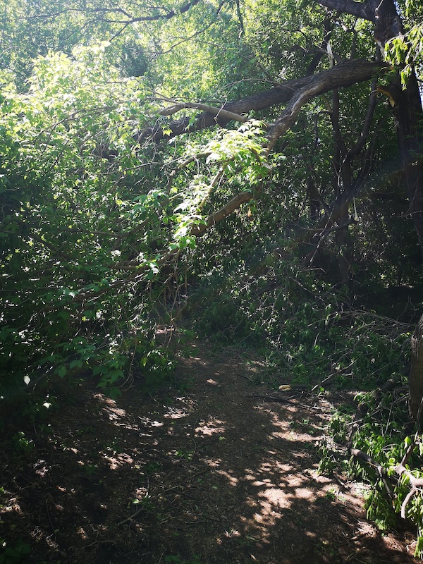 Lower Sutherland Beach Multi Trail - Saskatoon, SK
