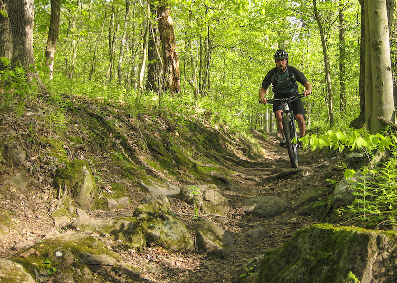 French Creek Long Climbing Loop Mountain Biking Route | Trailforks
