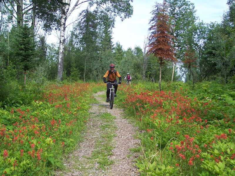 Backside to Blue Spruce Mountain Biking Route | Trailforks