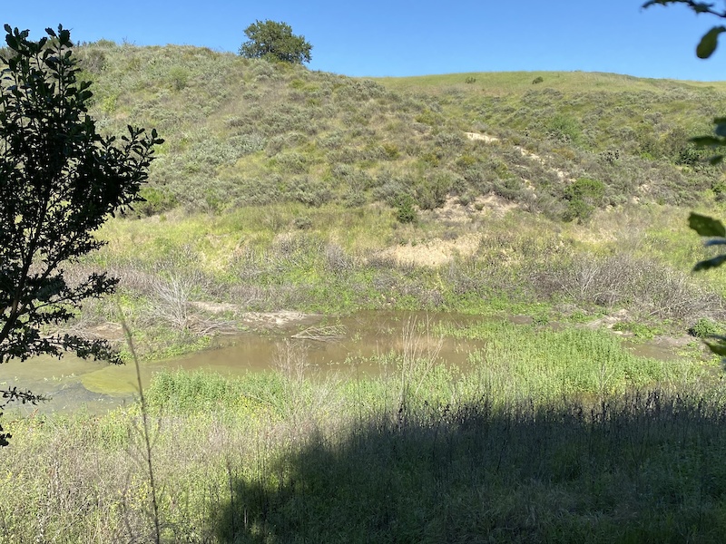 Riley Wilderness Park loop Mountain Biking Route | Trailforks