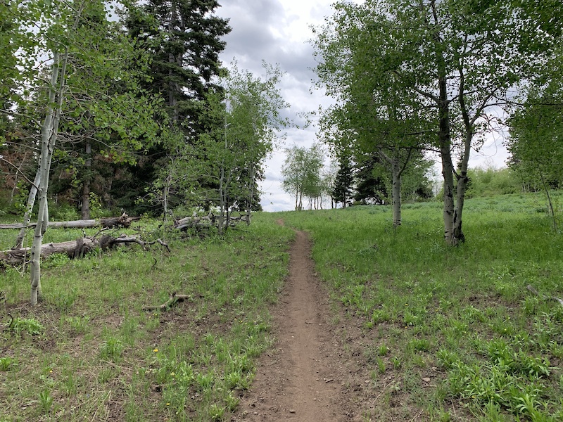 Blackhawk Campground Loop Hiking Route | Trailforks