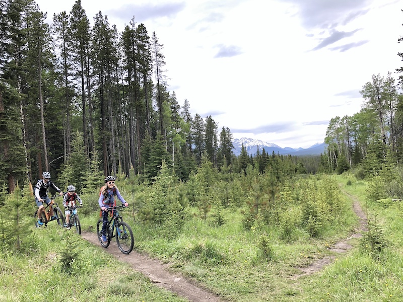 Powerline route | Trailforks