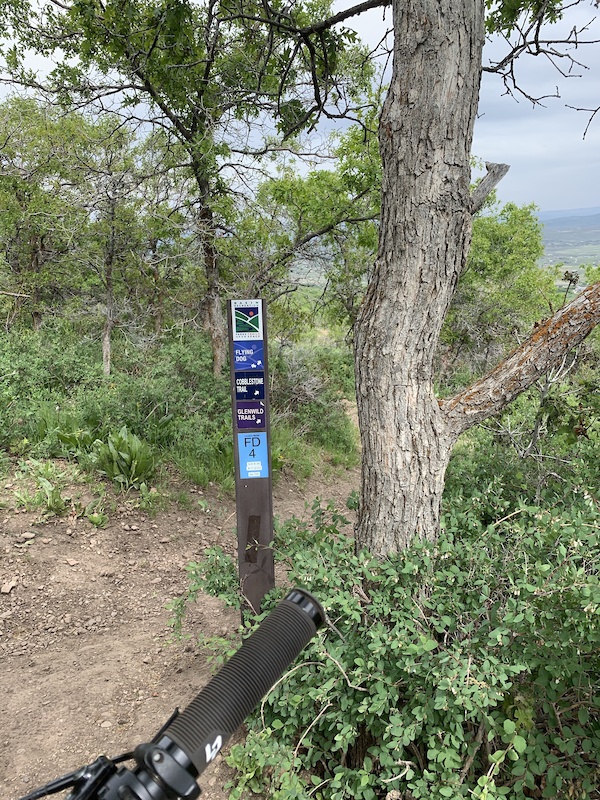Flying Dog Multi Trail - Glenwild, Park City, Utah