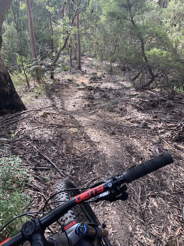 Neich Road Technical Creek Descent Mountain Biking Trail - Hornsby