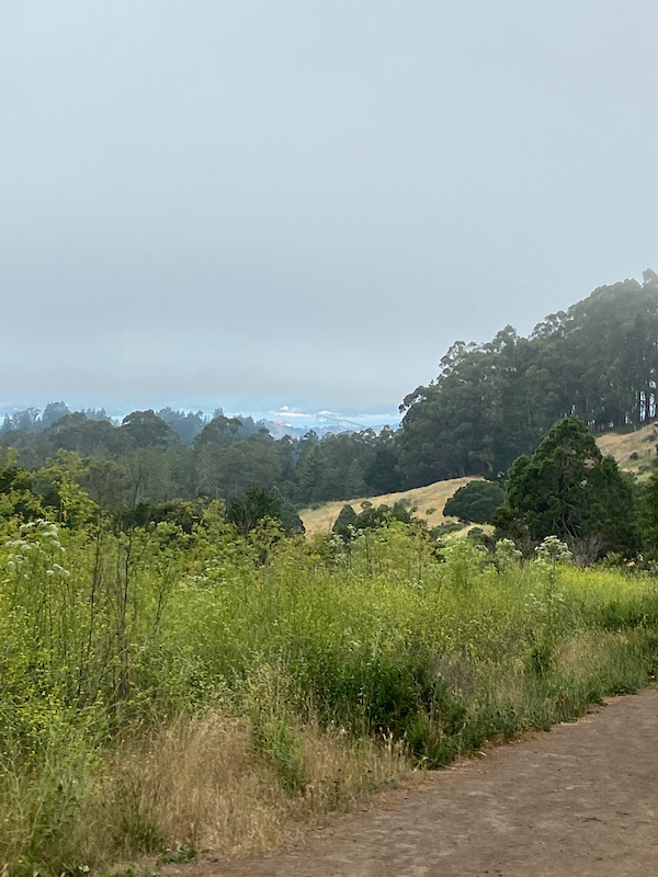 Quarry Trail Multi Trail - Berkeley, California