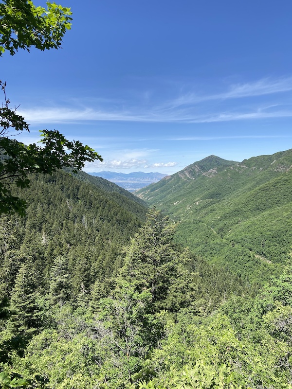 Terraces to Pipeline Trail Loop Hiking Route | Trailforks