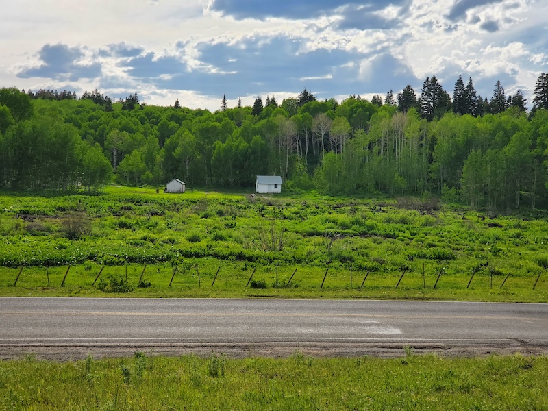 Nebo Loop National Scenic Byway ATVing/Offroading Route | Trailforks
