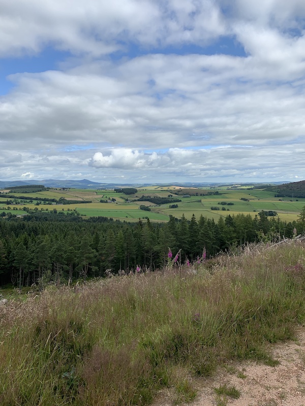 My Little Pony Mountain Biking Trail - Banchory