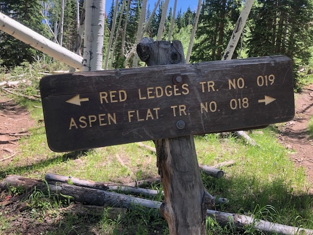 Red Ledges Multi Trail - Monticello, UT | Trailforks