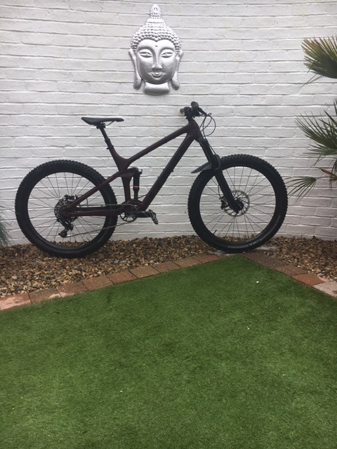 2019 Trek Remedy 9.7 Carbon. £3200 RRP For Sale