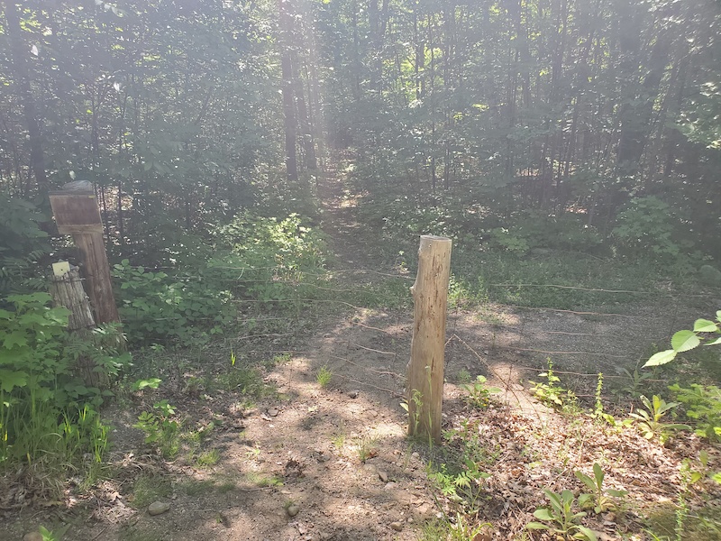 Big Poppa Mountain Biking Trail - Beachburg, Ontario