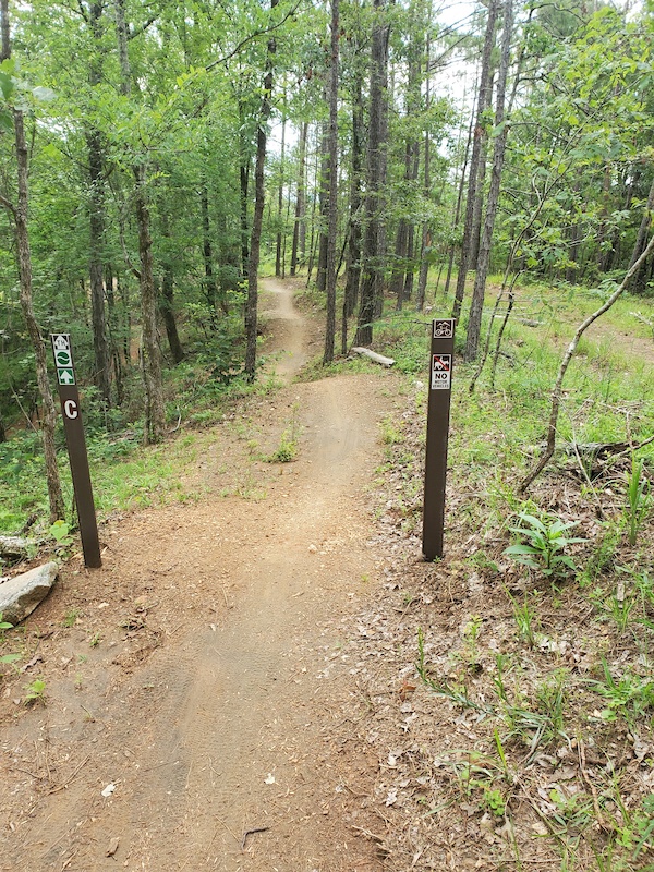 The Bug Mountain Biking Trail - Columbus, Georgia