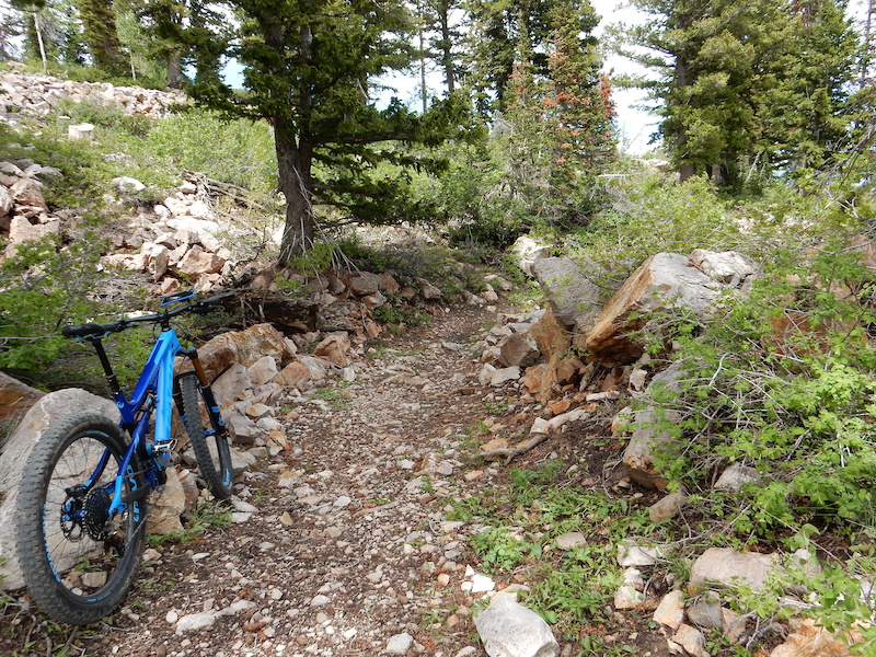 Snowbasin Needles Trail (via Porcupine Trail) Mountain Biking Route ...