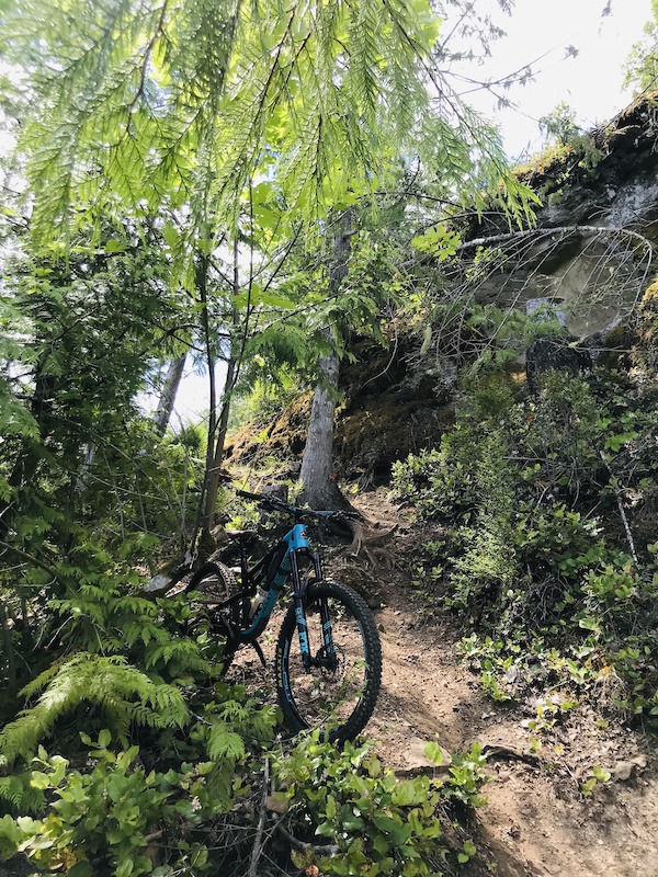 Popper Mountain Biking Trail - Cumberland, BC